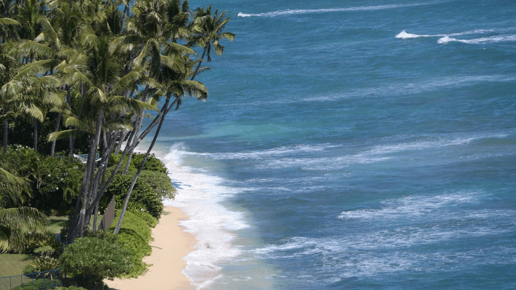 Find direct flights to the airport of Honolulu in Hawaii ...