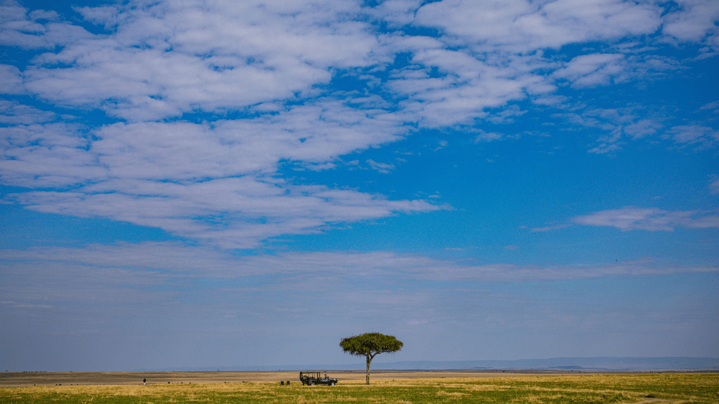 Find all direct flights to Nairobi - Directflights.com